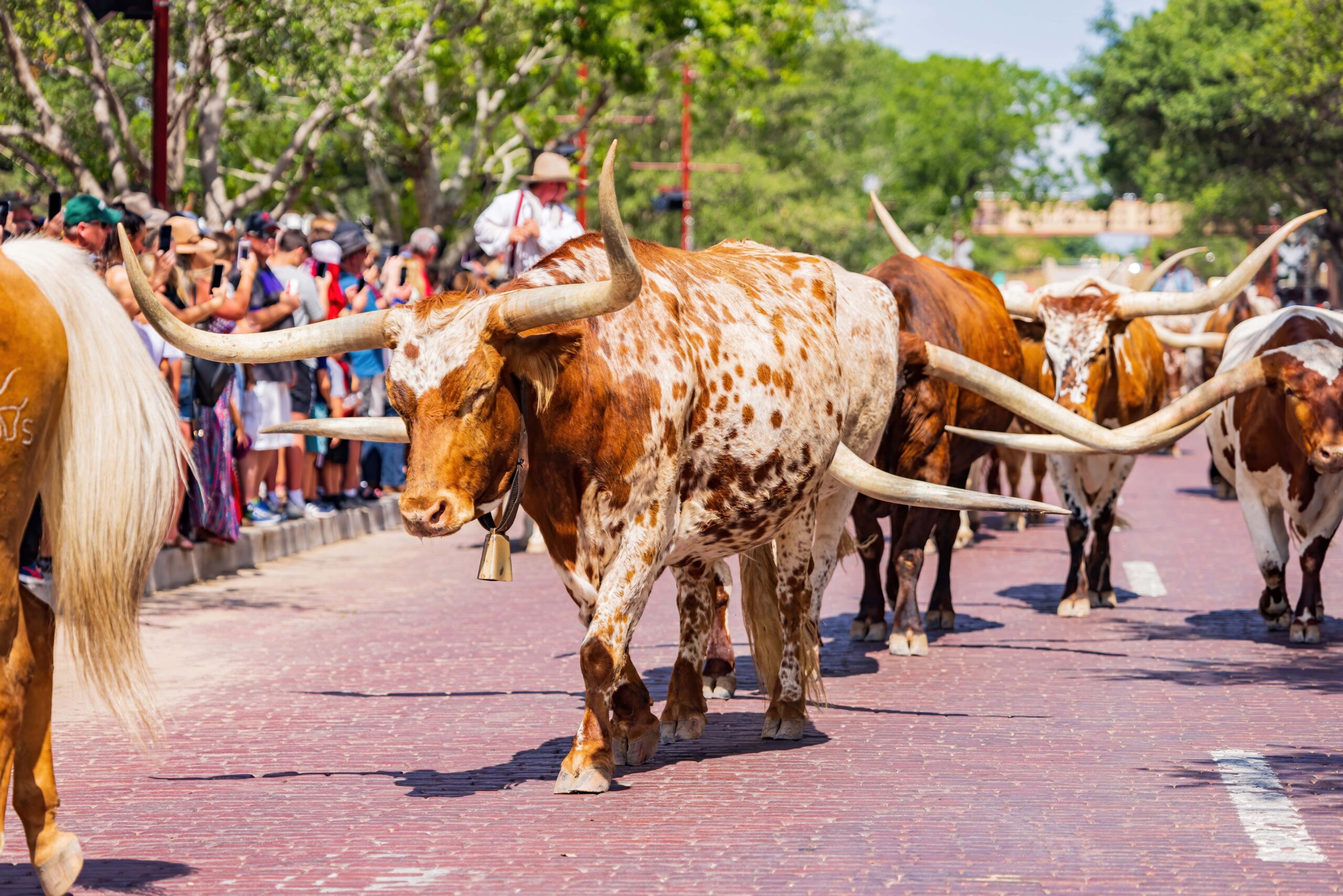 Discover Lake Travis